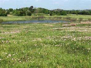 842 Frank Vacek Lan, Schulenburg, TX, 78956 - MLS# 6790258