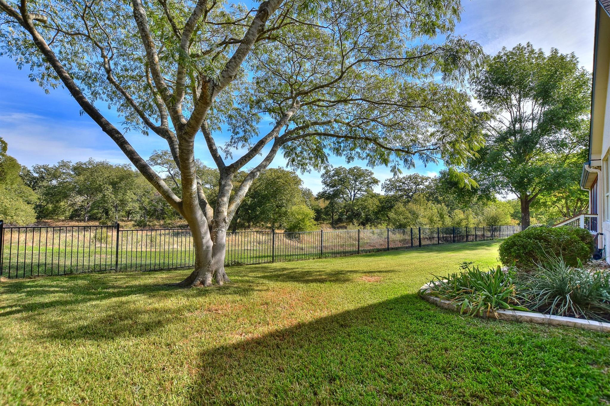 146 Trail Rider Way, Georgetown, TX, 78633 - MLS# 7983736