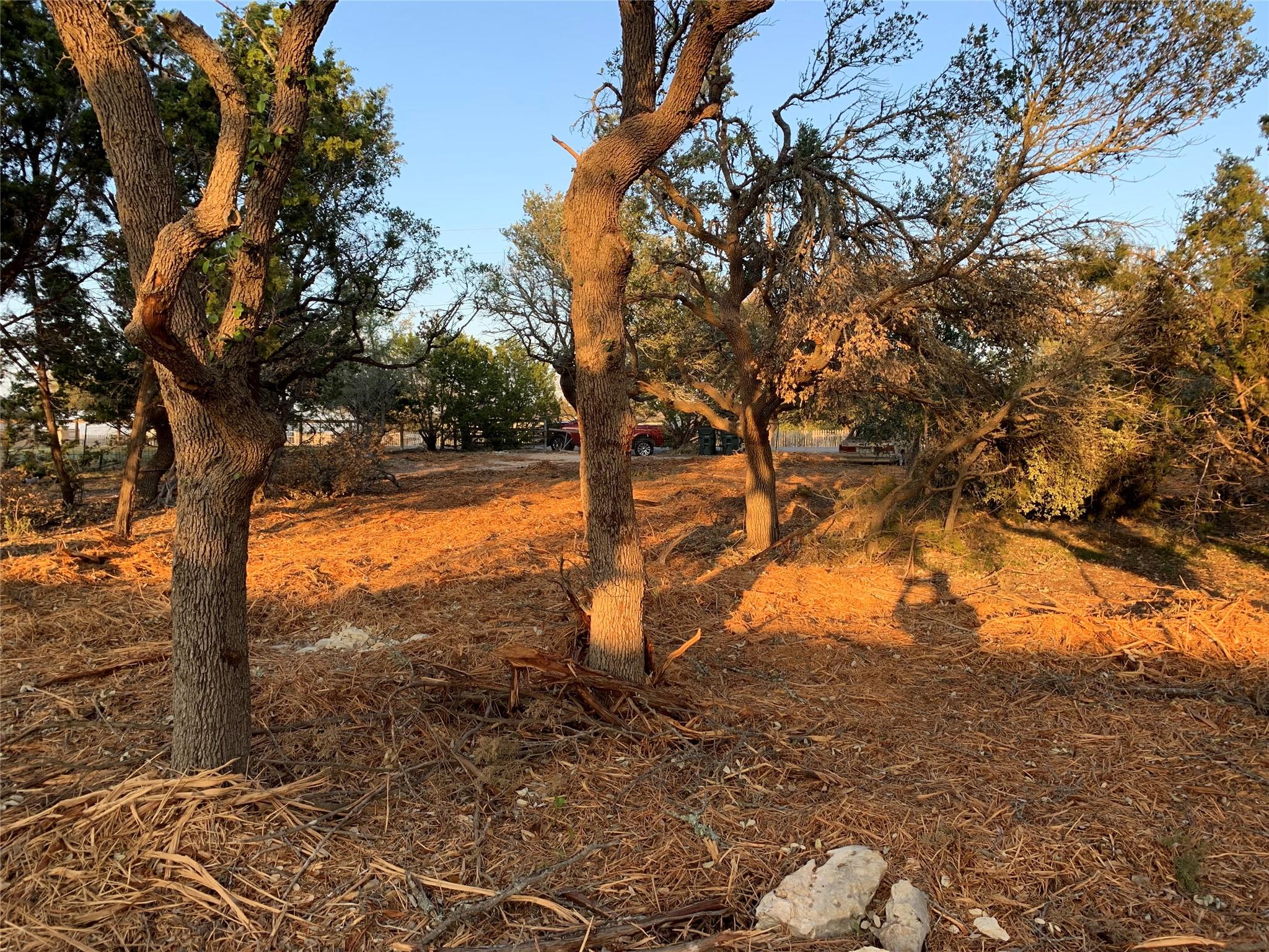 1383 Harmon Hills Rd, Dripping Springs, TX, 78620 - MLS# 8942186